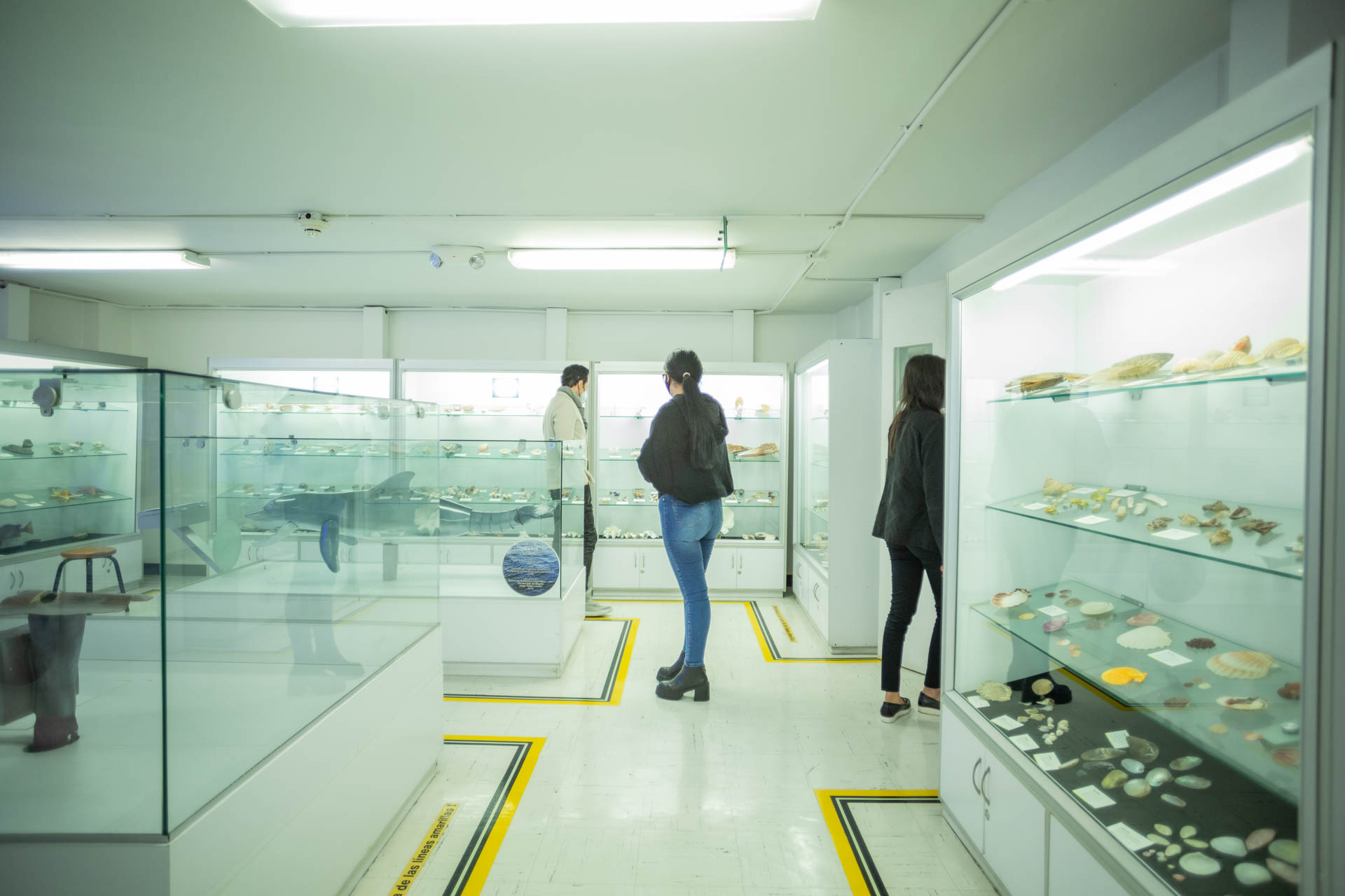 ¡Museo del Mar! | Universidad de Bogotá Jorge Tadeo Lozano