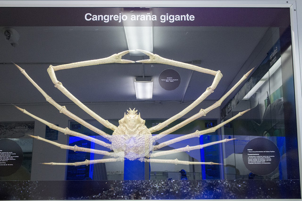 Museo del mar | Universidad de Bogotá Jorge Tadeo Lozano