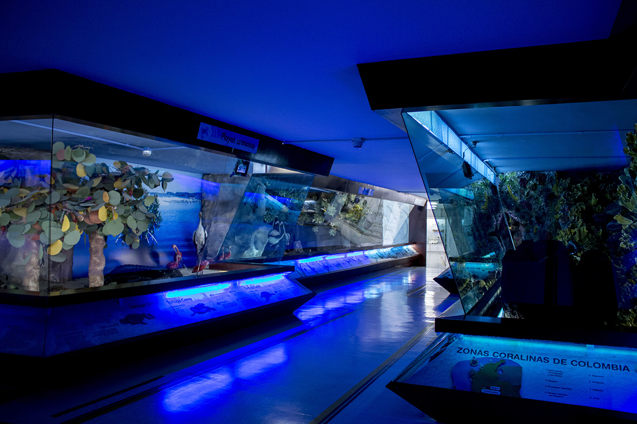 Museo del mar | Universidad de Bogotá Jorge Tadeo Lozano