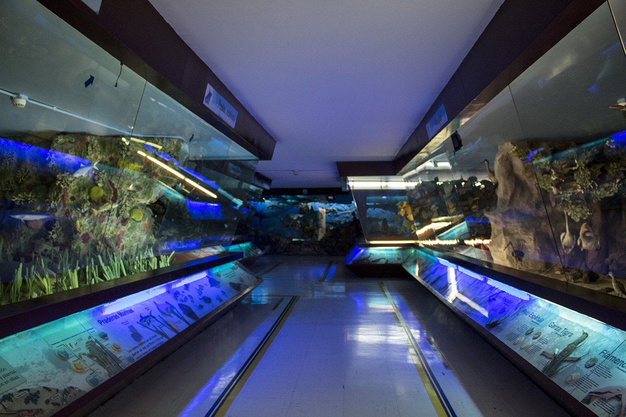 Museo del mar | Universidad de Bogotá Jorge Tadeo Lozano