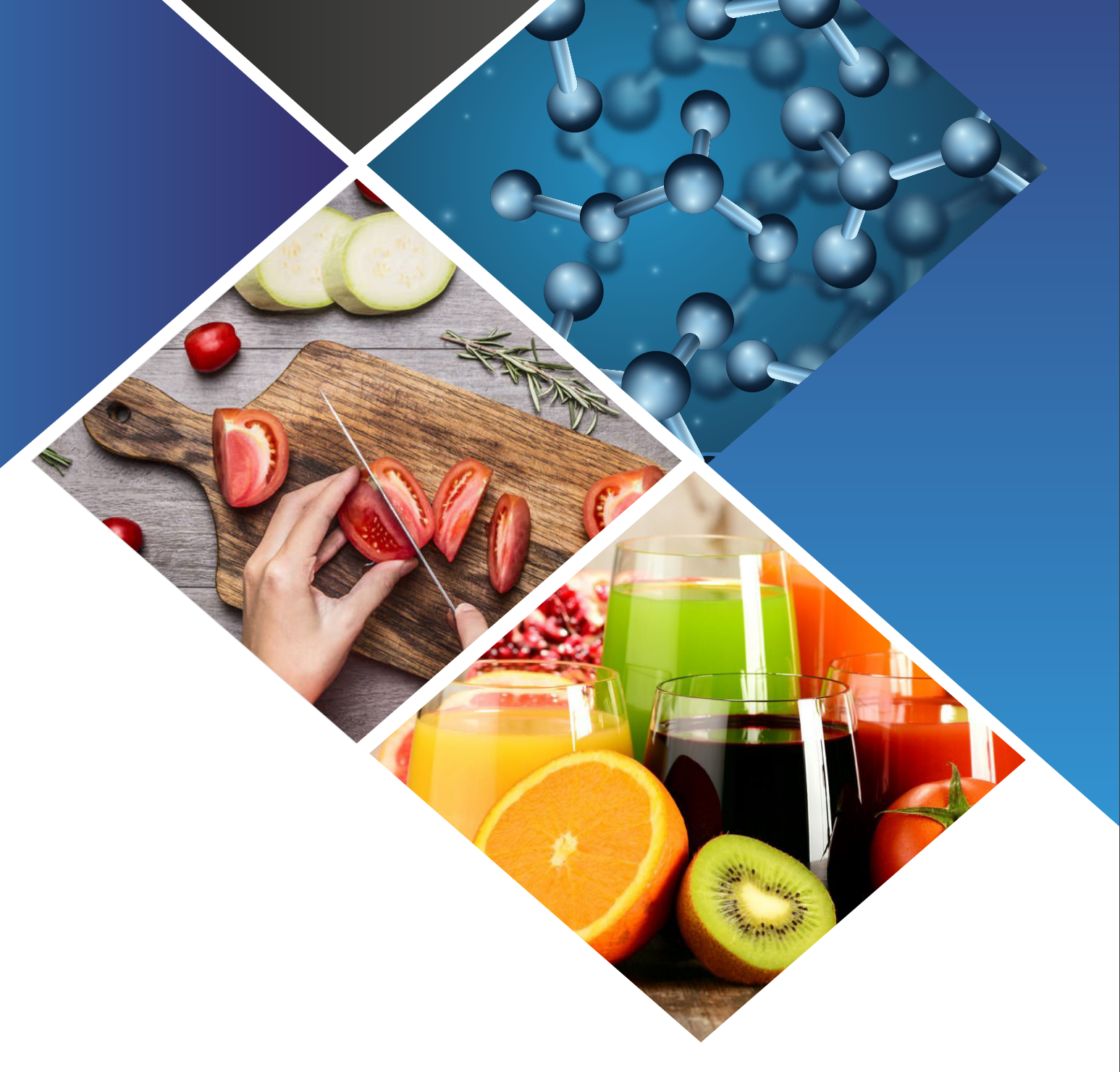 Compuestos Bioactivos, Alimentos Funcionales y Suplementos Dietarios ...