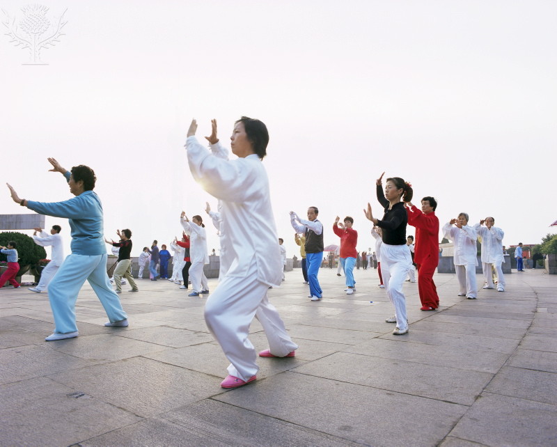 Practica abierta de Taiji quan - Festival Cultural de China ...
