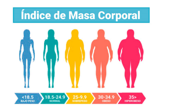 ¿Cuál debe ser el ideal de tu peso corporal? | Universidad de Bogotá ...