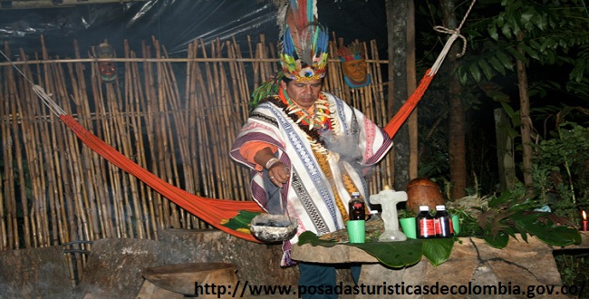 La toma del yagé, la planta que limpia primero el cuerpo y después el ...