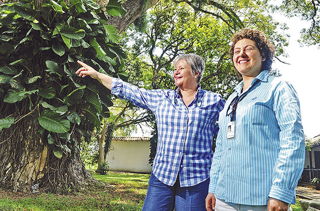 El País entrevistó a la tadeísta Clara María Ochoa ganadora en Premios ...