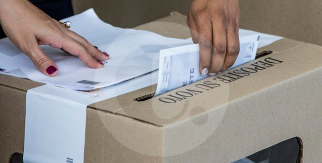 Angélica Bernal opinó para El Colombiano sobre el voto en blanco para ...