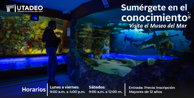 Museos gratis en Bogotá | Universidad de Bogotá Jorge Tadeo Lozano