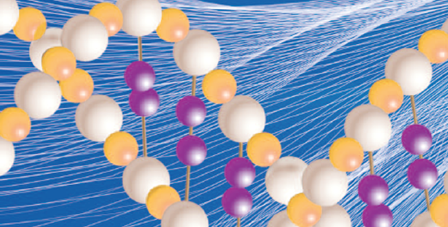 Bioquímica -Metabolismo energético, conceptos y aplicaciones ...