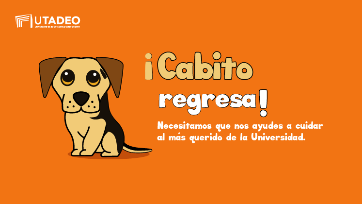 Cabito regresa slider | Universidad de Bogotá Jorge Tadeo Lozano