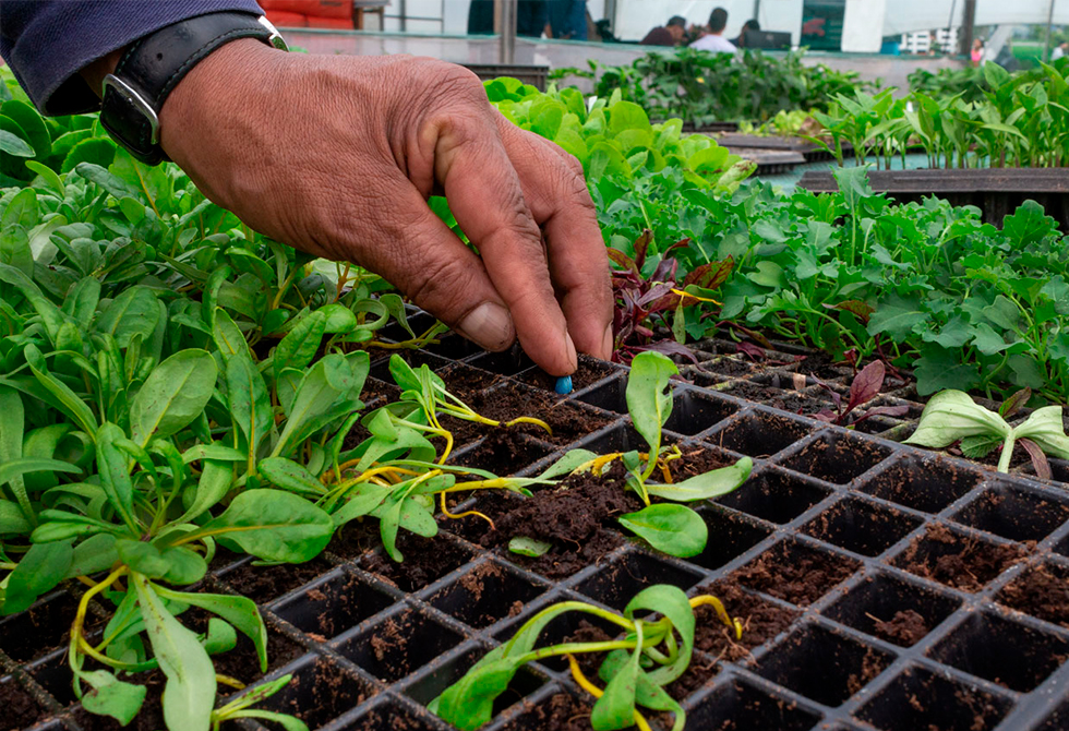 centro.de_.biosistemas.utadeo.2.jpg | Universidad de Bogotá Jorge Tadeo ...
