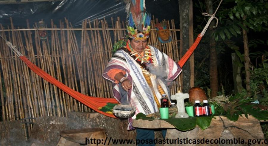 La toma del yagé, la planta que limpia primero el cuerpo y después el ...